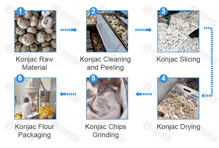 Konjac Processing Machine,Konjac Chips Processing Machine,Konjac ...