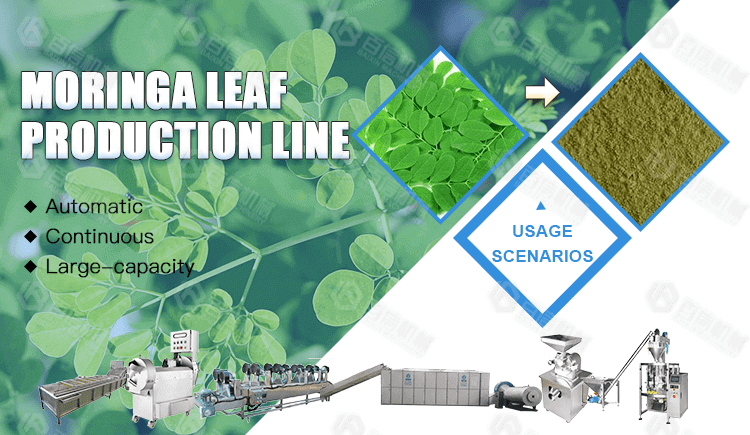 Moringa Leaf Powder Processing Process , Moringa Leaf Powder Processing ...