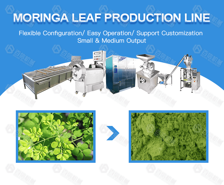 Moringa Leaf Processing Line,Moringa Leaf powder Processing Line ...