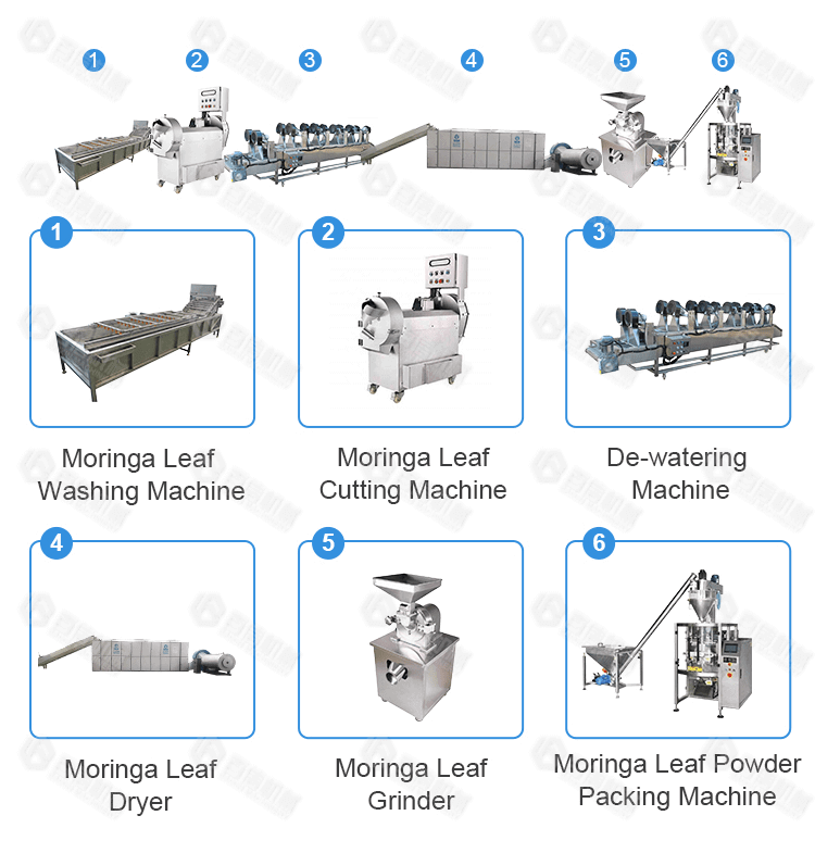 Moringa Leaf Powder Processing Process , Moringa Leaf Powder Processing ...