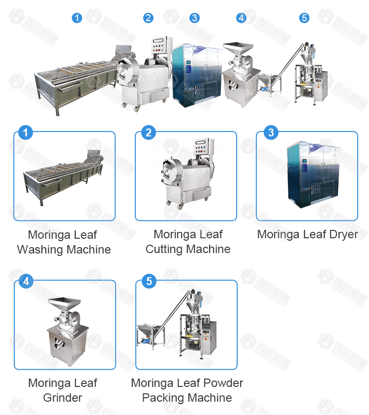 Moringa Leaf Processing Line,Moringa Leaf powder Processing Line ...