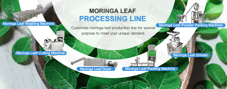 Moringa Leaf Processing Line,Moringa Leaf powder Processing Line ...