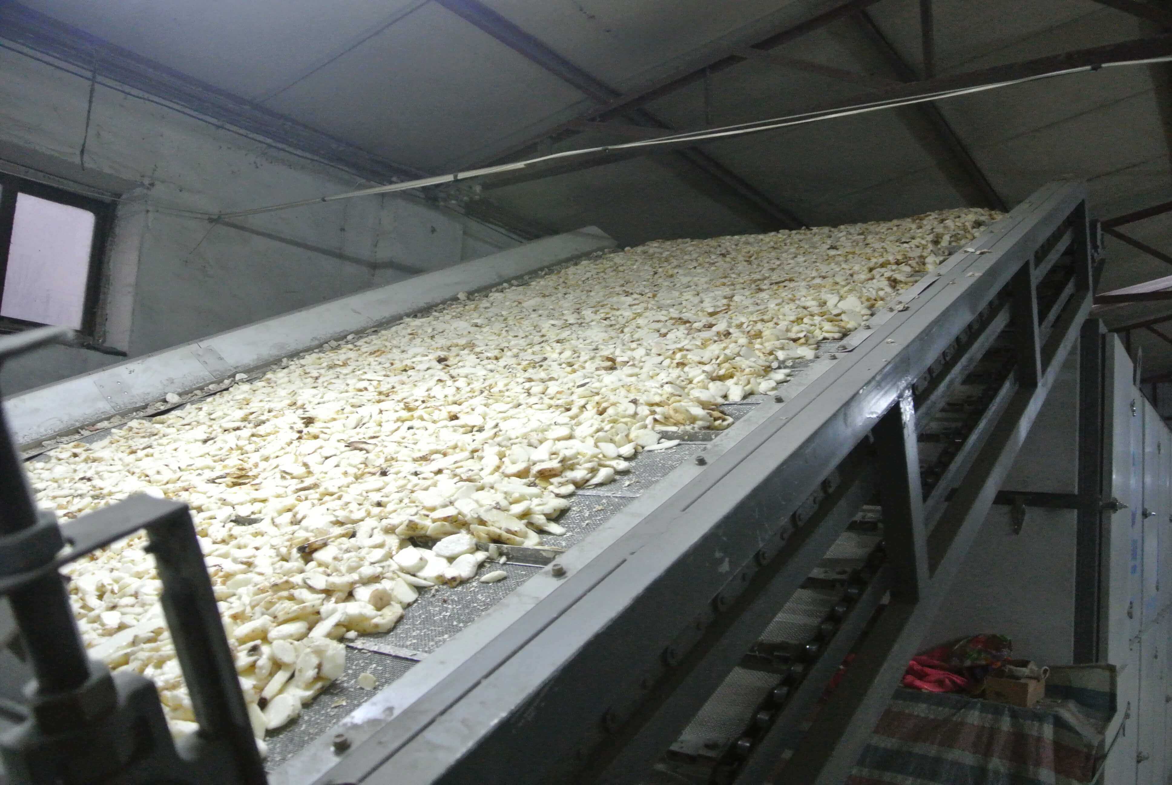 How to Dry, Dehydrate Cassava-Henan Baixin Machinery