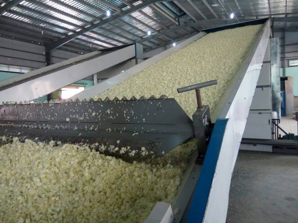 Cabbage drying scene,Cabbage Drying Machine,Cabbage Dryer-Henan Baixin ...