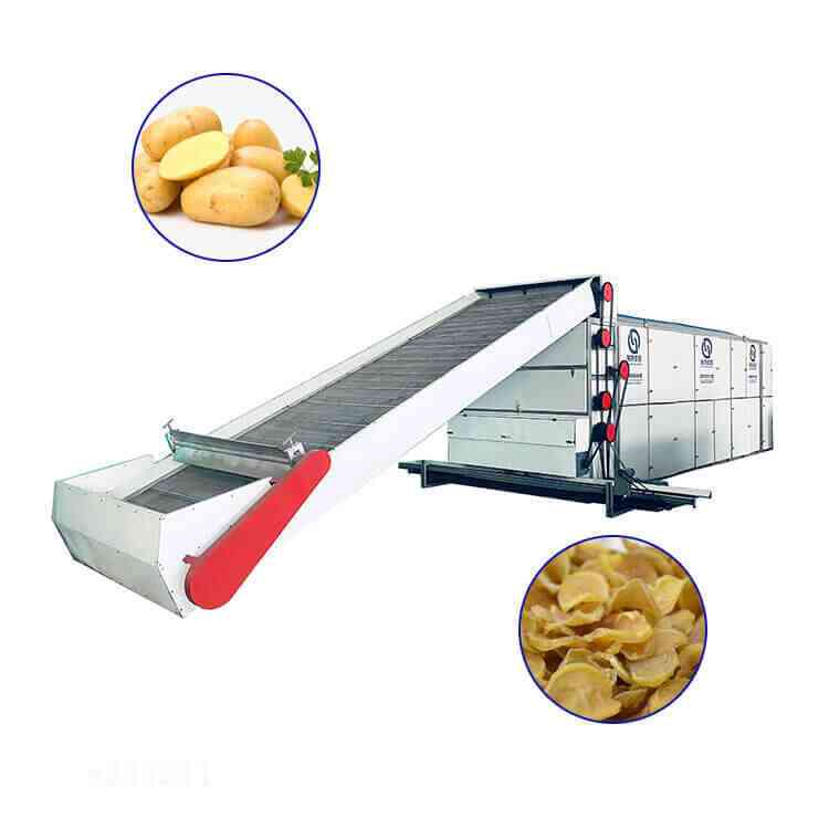 potato continuous mesh belt dryer/drying machine_Henan Baixin Machinery