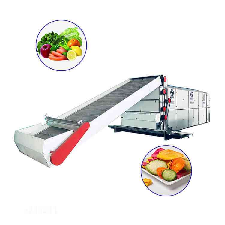Hot Air Fruit Vegetable Drying Machine-Henan Baixin Machinery