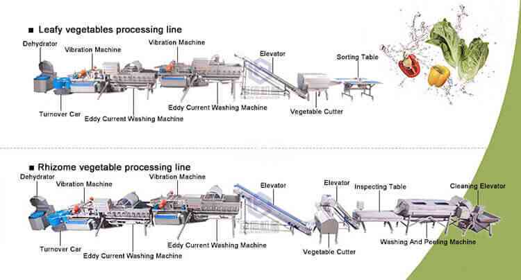 Fruit and vegetable processing line_Henan Baixin Machinery