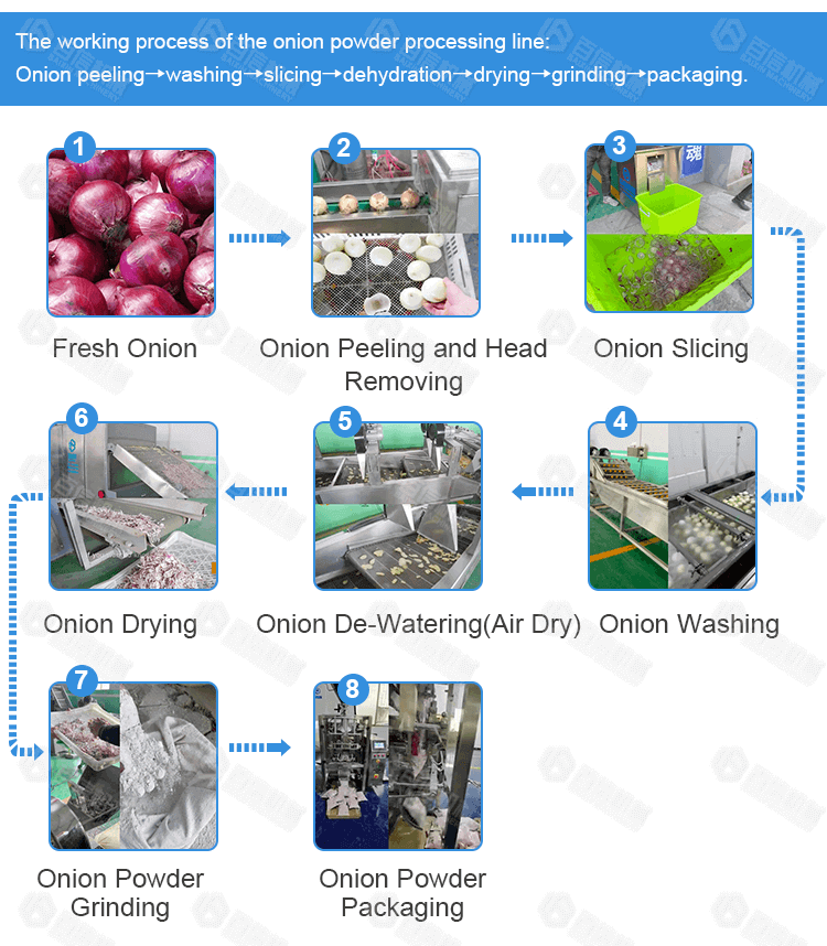 Large output onion powder processing line/onion powder processing line ...