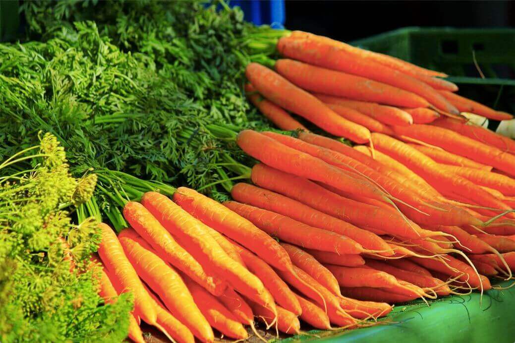 How To Dry Carrot,Dehydrate Carrot In a Dehydrator-Henan Baixin Machinery