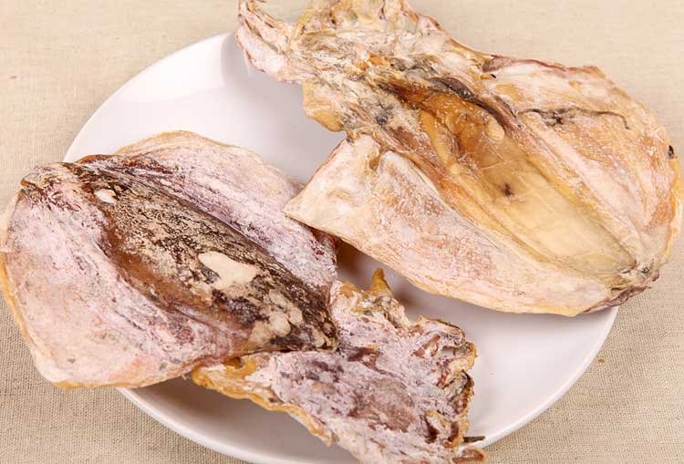 How to Dry Cuttlefish,Dehydrate Cuttlefish in a Dehydrator-Henan Baixin ...