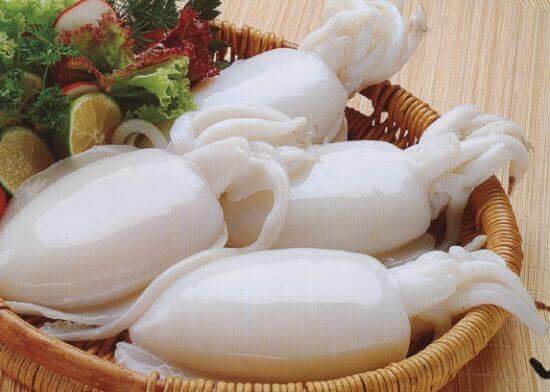 How to Dry Cuttlefish,Dehydrate Cuttlefish in a Dehydrator-Henan Baixin ...