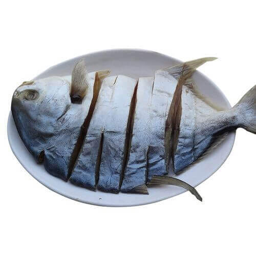 How to Dry Golden Pomfret Dehydrate Golden Pomfret in a Dehydrator ...