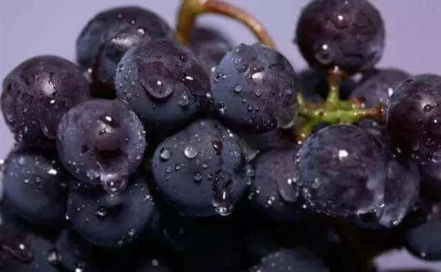 How to Make Raisins,How To Dry Dehydrate Grapes-Henan Baixin Machinery