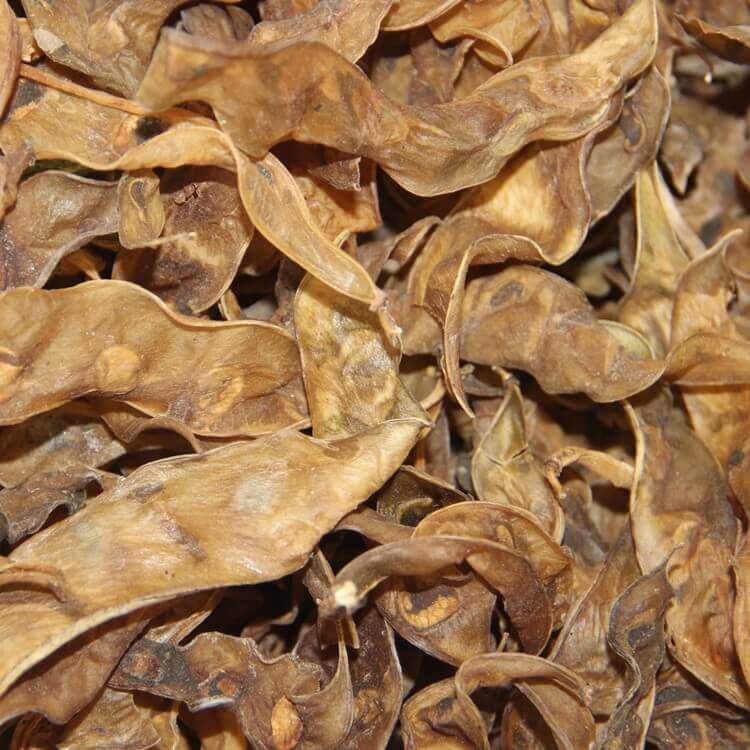 How To Dry Lentils,How To Dehydrate Lentils,Lentils Drying Process ...