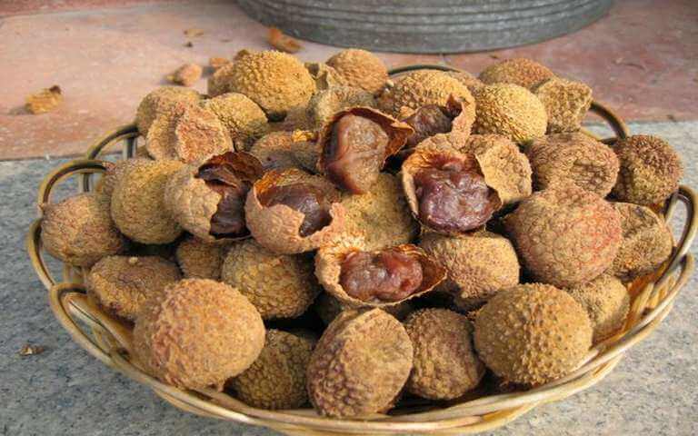 How to Dry Litchi,Dehydrate Litchi in a Dehydrator-Henan Baixin Machinery