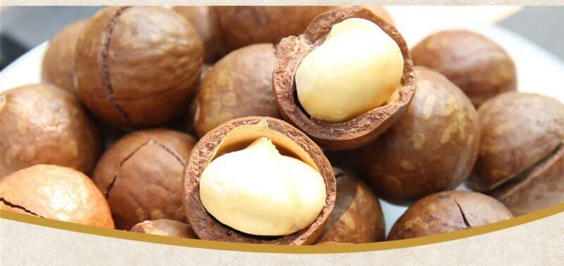 How to Dry Macadamia,Dehydrate Macadamia in a Dehydrator-Henan Baixin ...