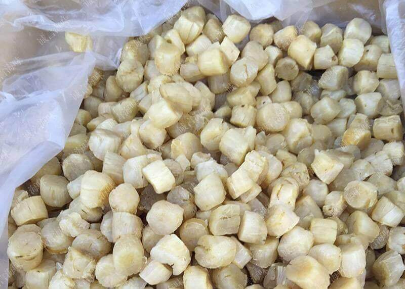 How to Dry Scallop,Dehydrate Scallop in a Dehydrator-Henan Baixin Machinery
