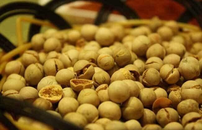 Dehydrate Soybean in a Dehydrator,Soybean Drying Process -Henan Baixin ...