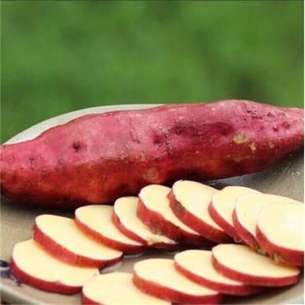 How to Dry Sweet potato,Dehydrate Sweet potato in a Dehydrator-Henan ...