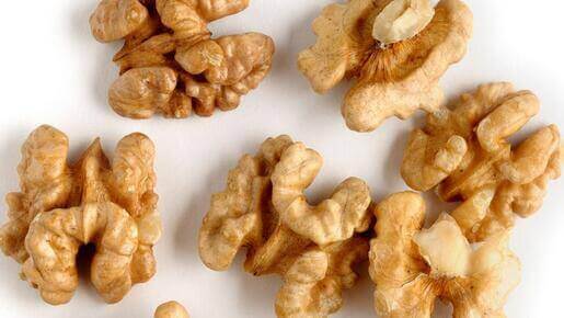 How to Dry Walnut,Dehydrate Walnut in a Dehydrator-Henan Baixin Machinery