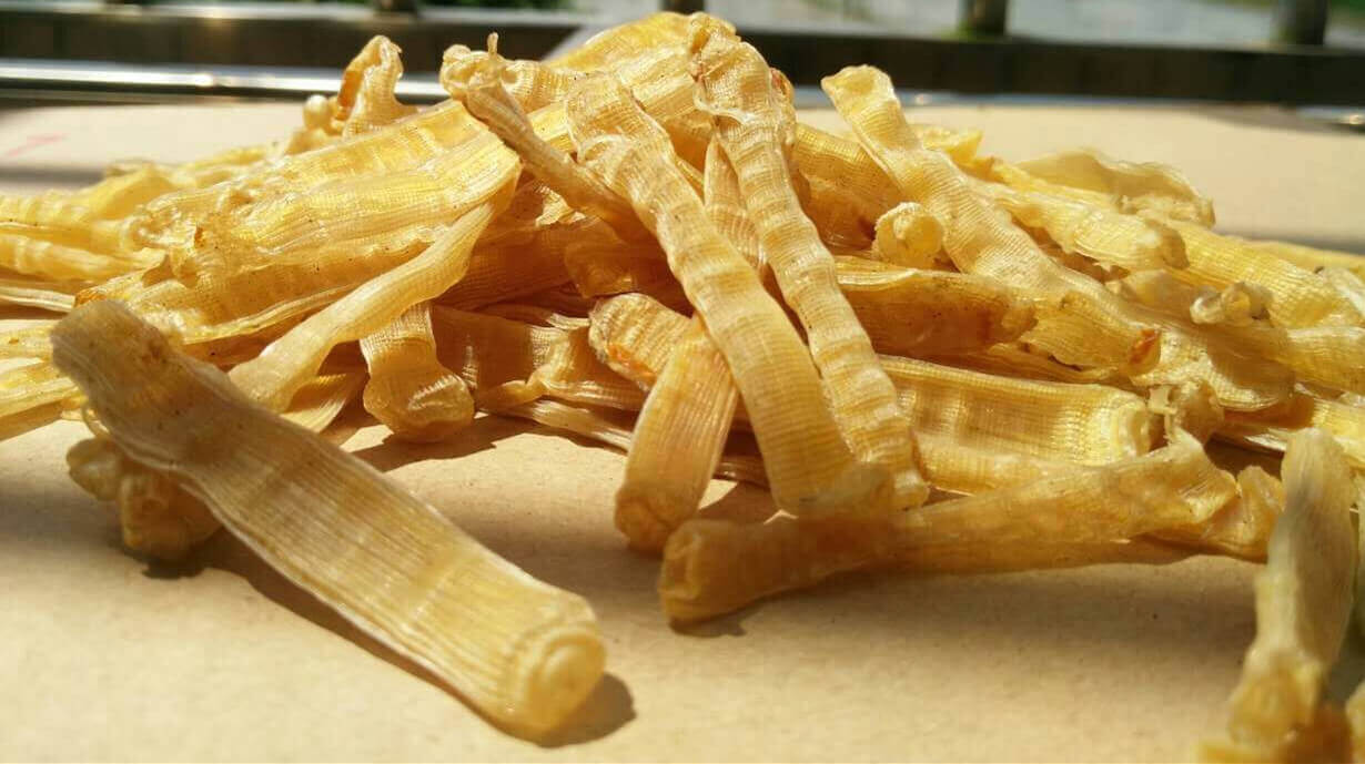 How to Dry Sandworm,Dehydrate Sandworm in a Dehydrator-Henan Baixin ...