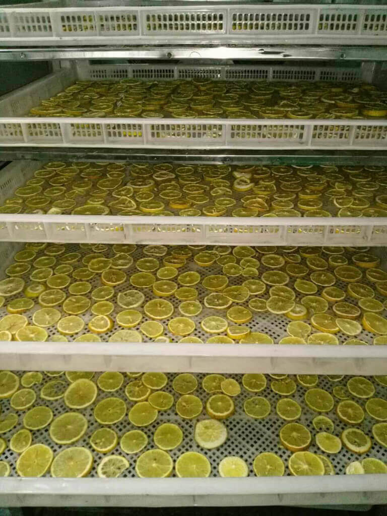 How to Dry Lemon,Dehydrate Lemon in a Dehydrator-Henan Baixin Machinery