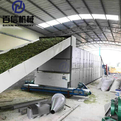 How to dry forage grass,dehydrate forage grass in a dehydrator-Henan ...