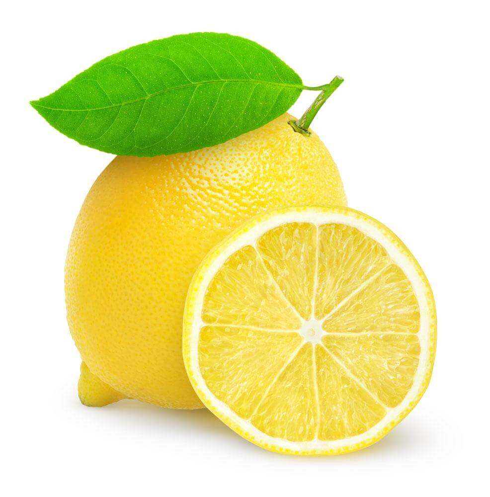 How to Dry Lemon,Dehydrate Lemon in a Dehydrator-Henan Baixin Machinery