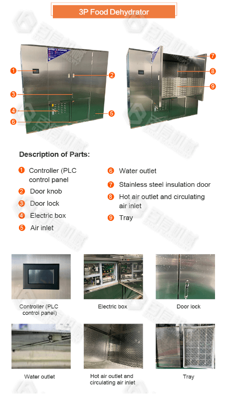 Food Dehydrator Malaysia-Henan Baixin Machinery